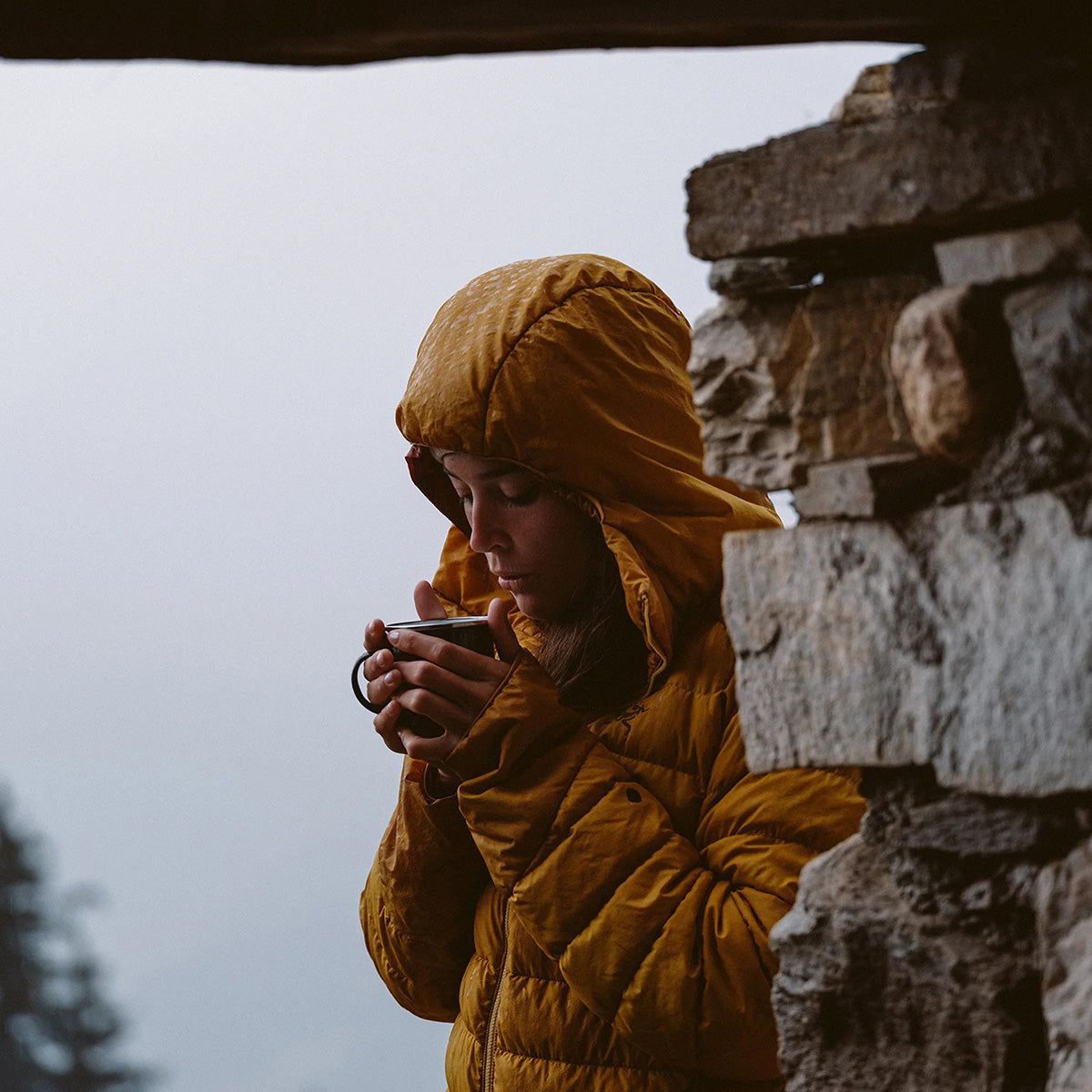 Base Camp Food: lightweight, expedition freeze dried meals and stoves